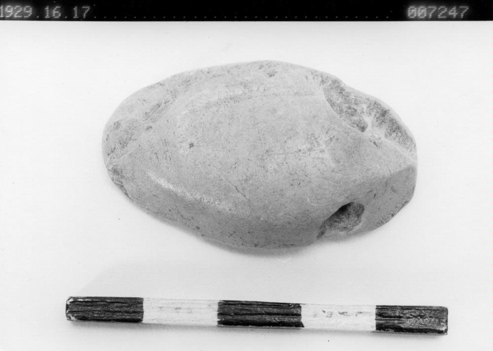 Carlotta - Bildarkiv