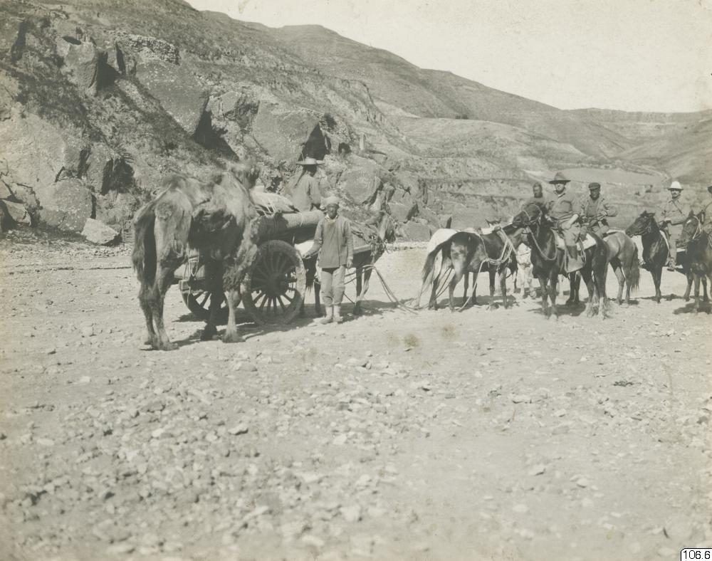 Carlotta - Bildarkiv