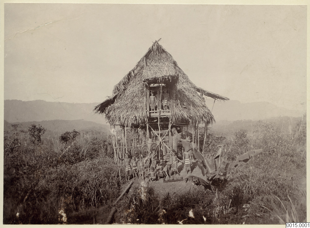 Carlotta - Bildarkiv