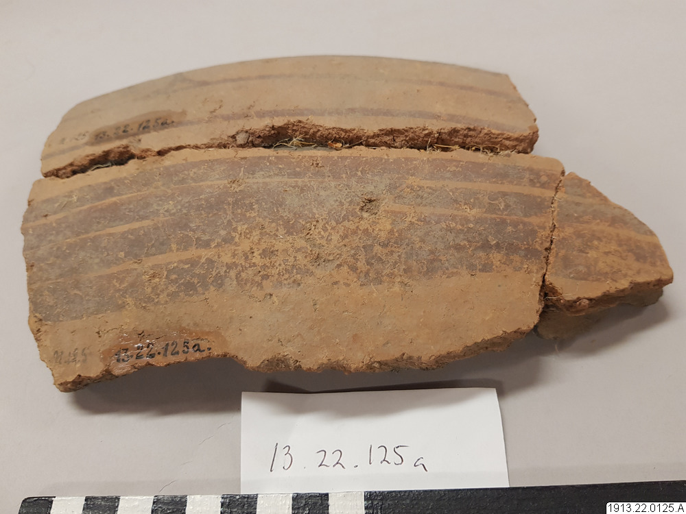 Carlotta - Delobjekt