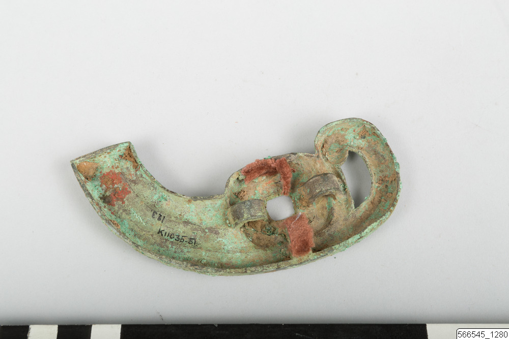 Carlotta - Digital bild