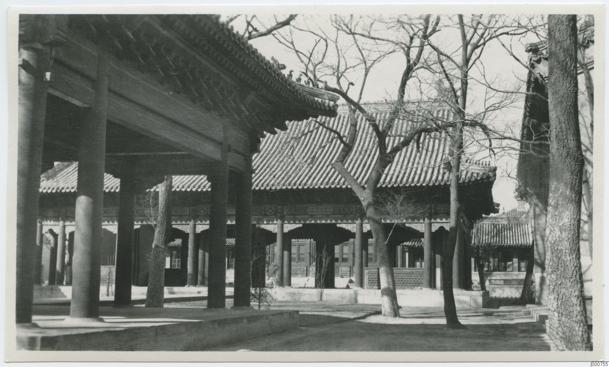 Carlotta - Bildarkiv