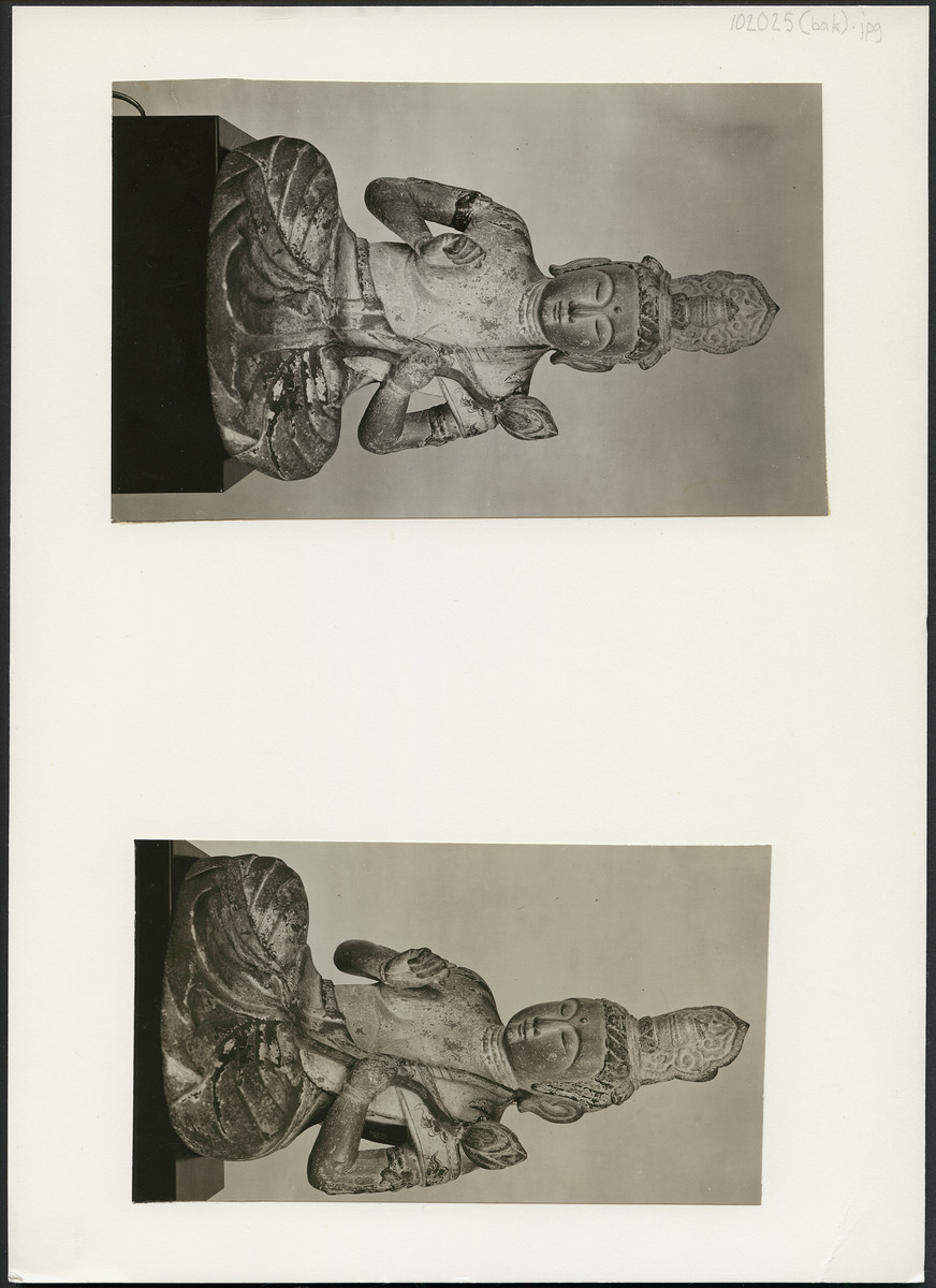 Carlotta - Digital bild