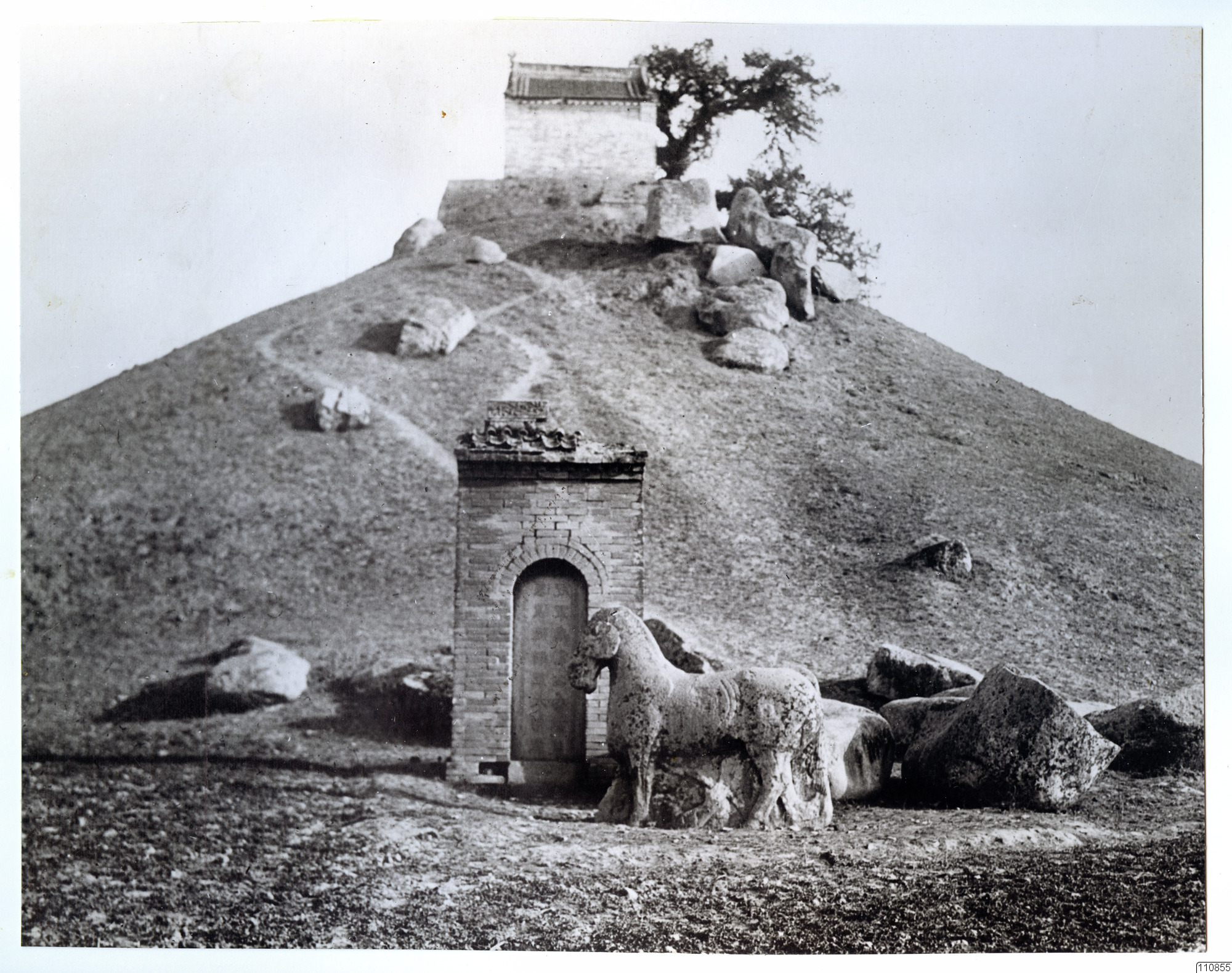 Carlotta - Bildarkiv