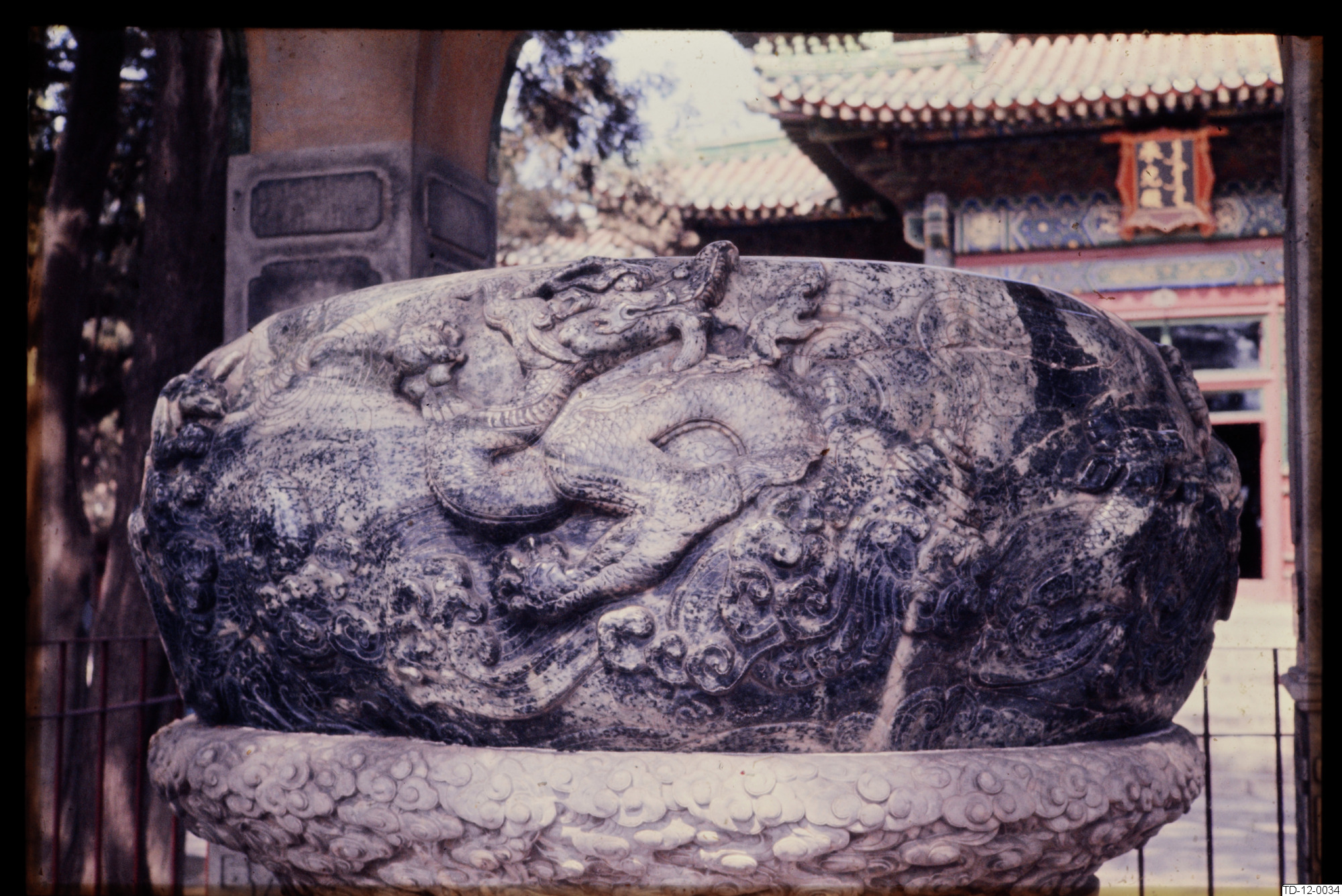 Carlotta - Bildarkiv