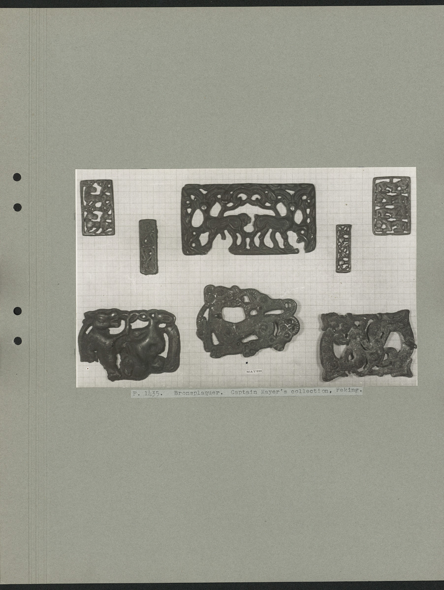 Carlotta - Digital bild