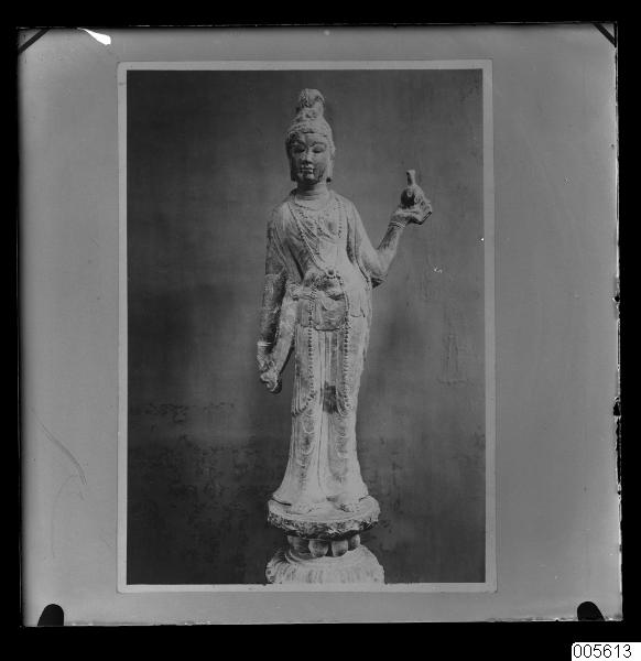 Carlotta - Bildarkiv